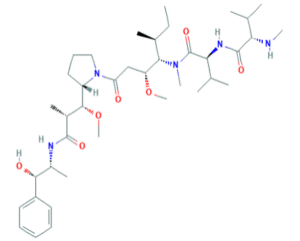 MMAE - Cytotoxic payload - Peptide-Drug Conjugate - SB-PEPTIDE