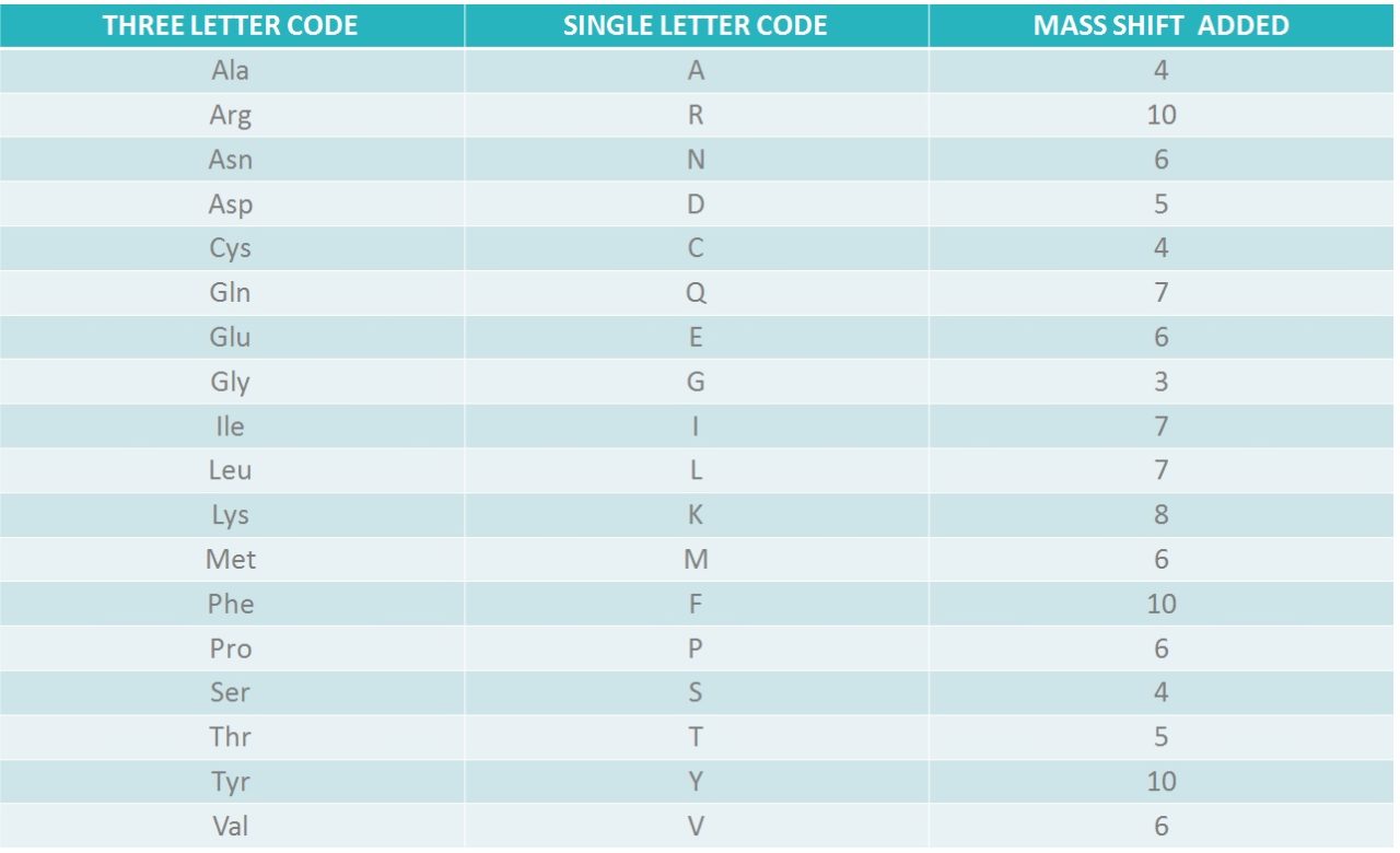 Peptide Library Synthesis Service - SB-PEPTIDE - Custom peptide
