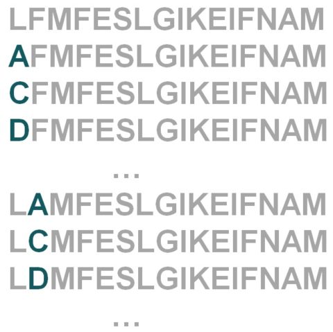 Peptide Library Synthesis Service - SB-PEPTIDE - Custom peptide