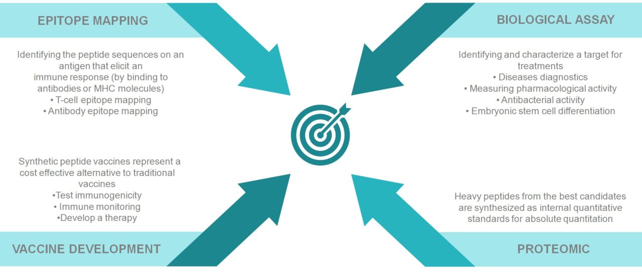 Peptide Library Synthesis Service - SB-PEPTIDE - Custom peptide