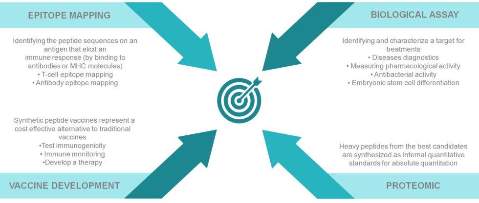 Peptide Library Synthesis Service - SB-PEPTIDE - Custom peptide